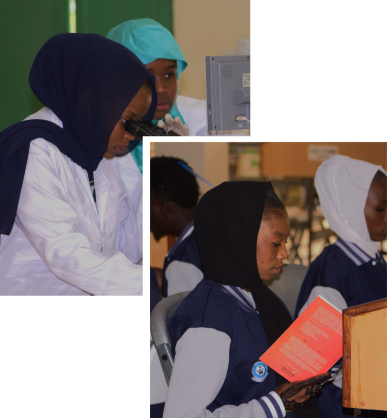 Jigawa State Polytechnic